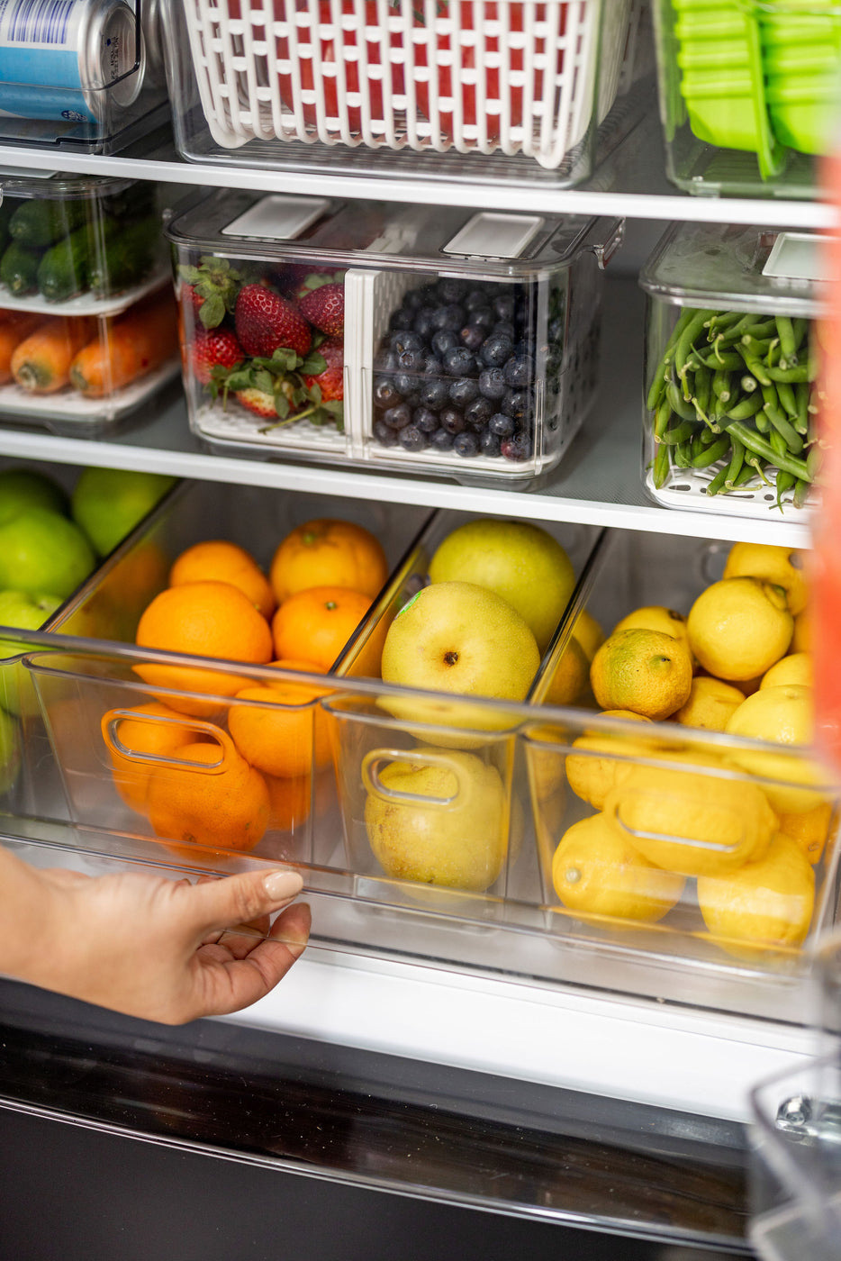 Fridge Starter Pack for Fridge Organisation - Little Label Co