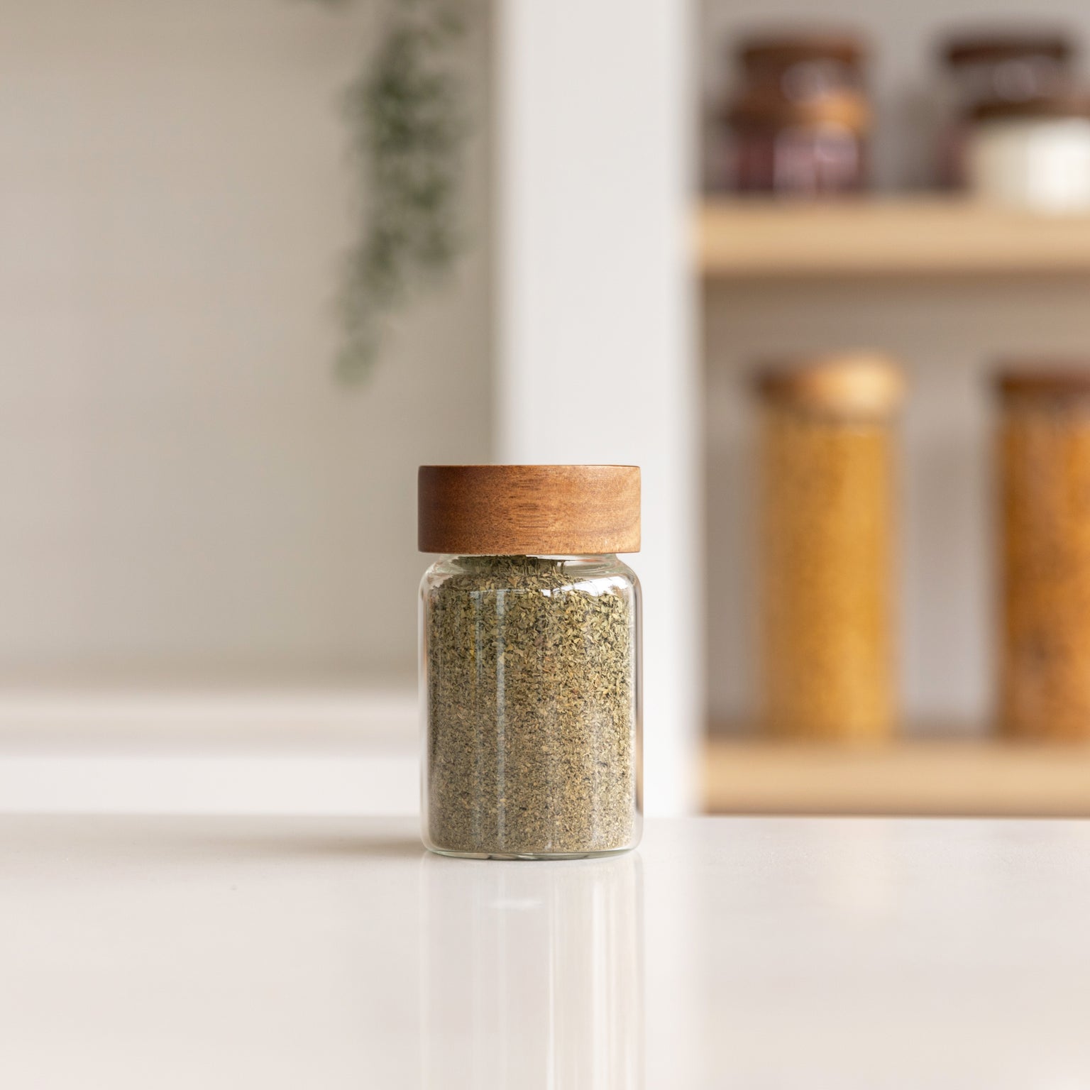 Acacia Range | Little Label Co