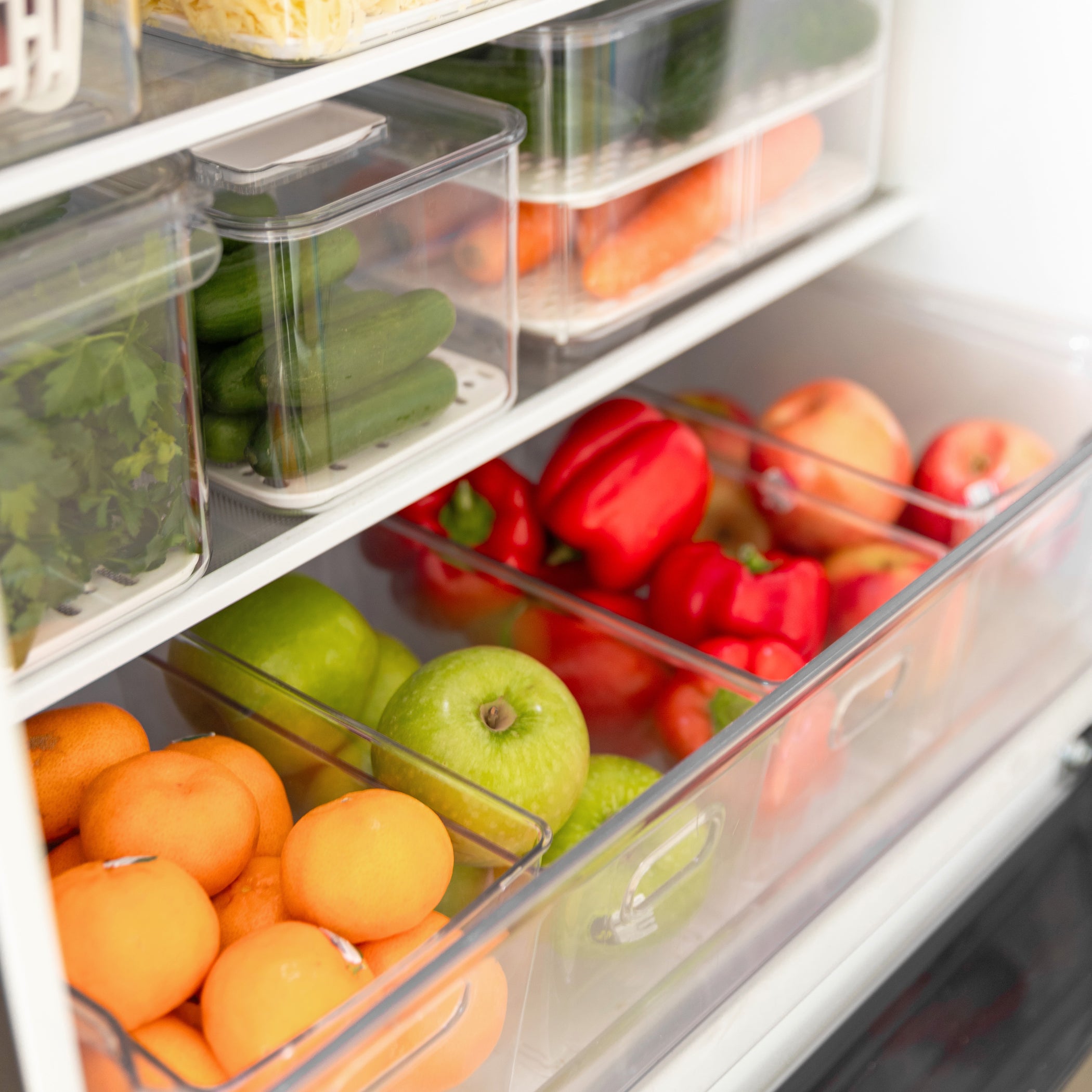 Fridge Fresh Keeper Storage Pack for Fridge Organisation