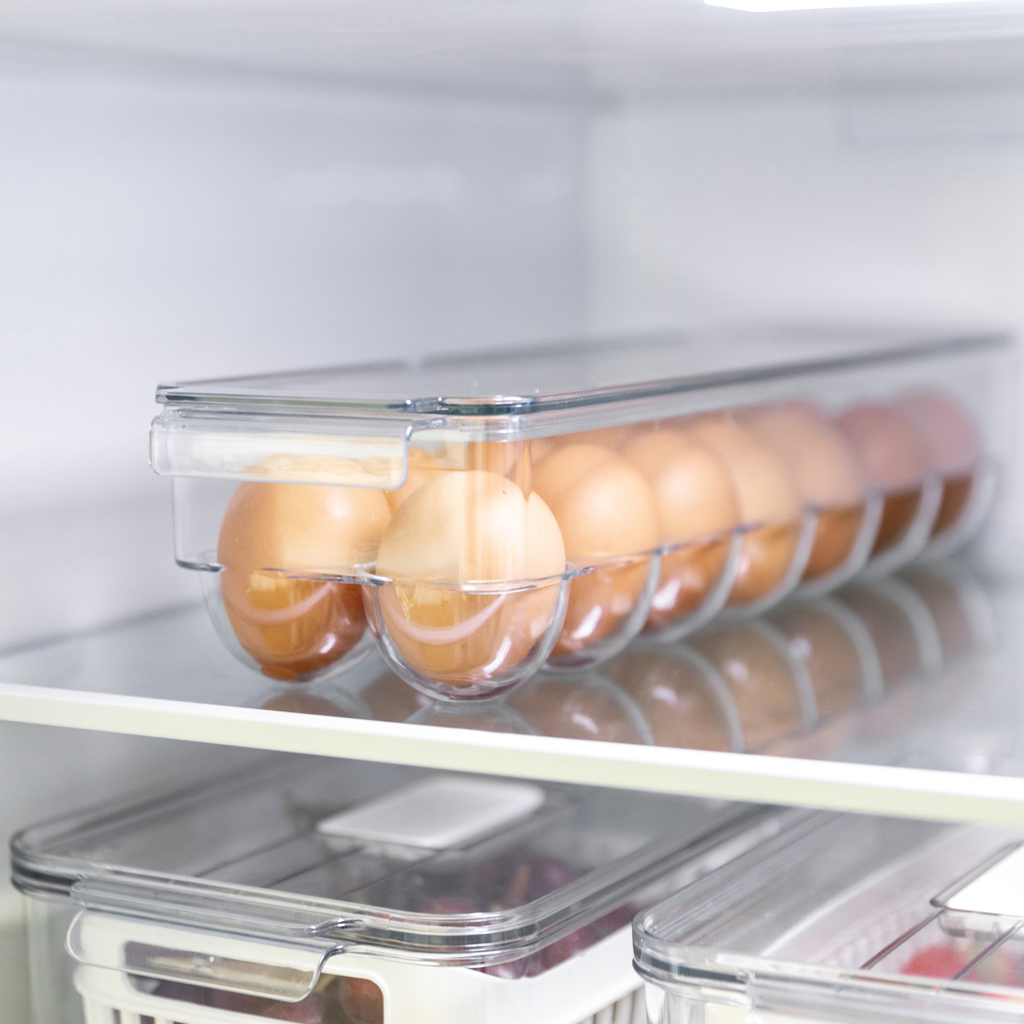 Ultimate Fridge Organisation Value Pack - Little Label Co