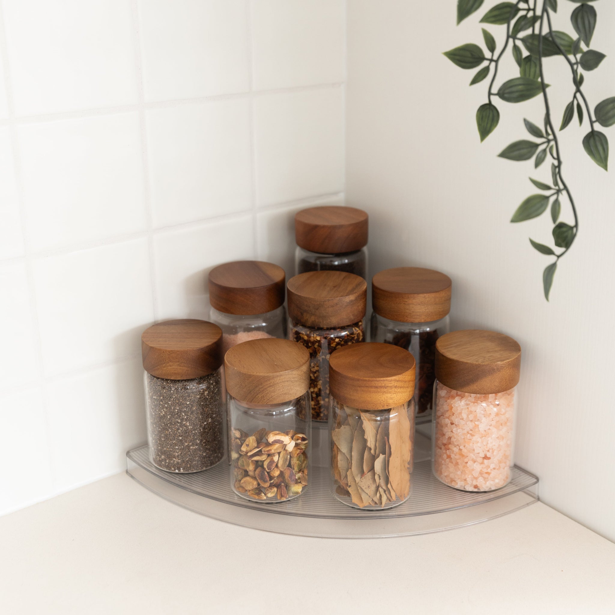 Acacia Range | Little Label Co