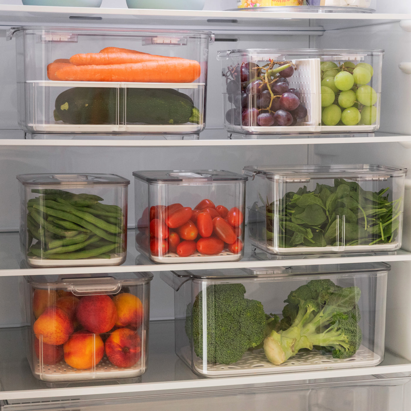 Small Fridge Value Pack - Little Label Co